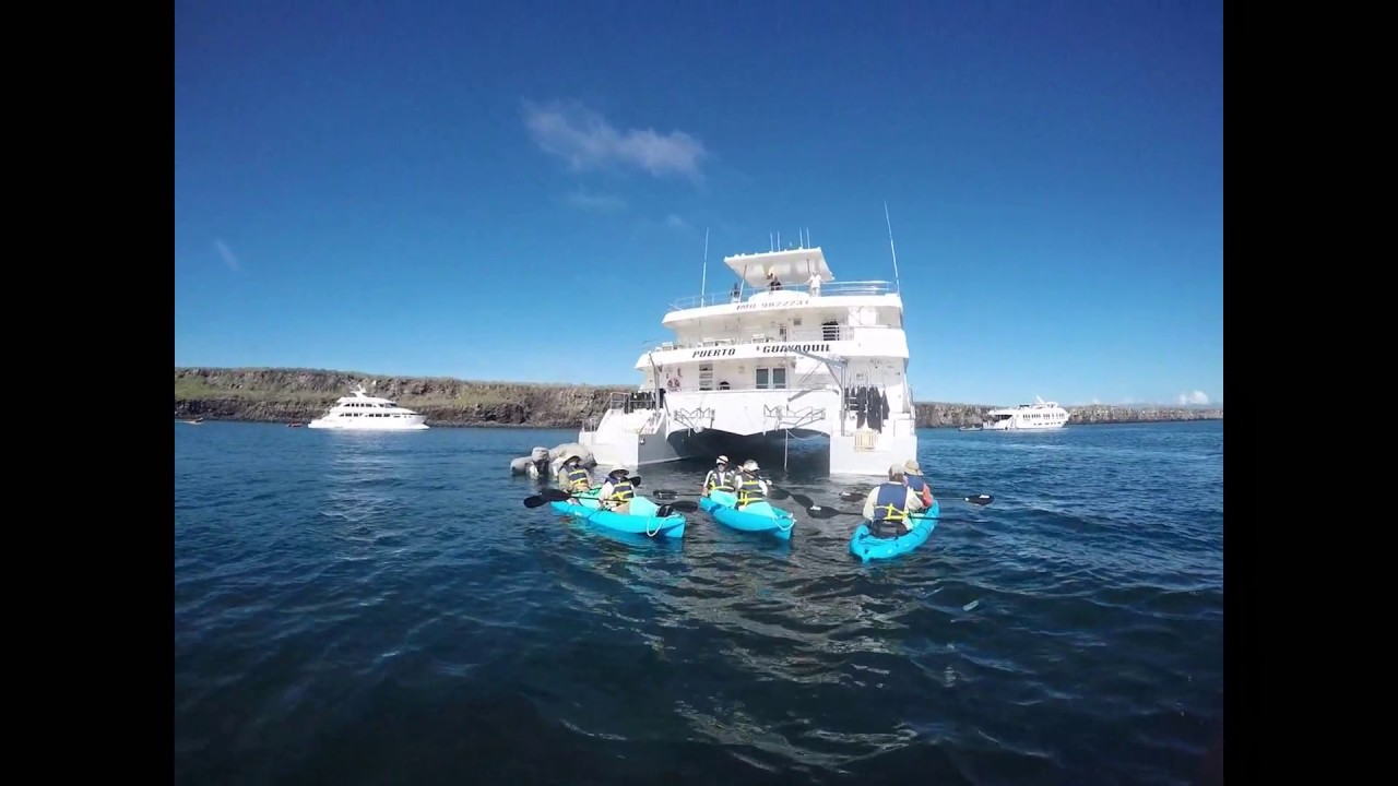 Galapagos Activities - Galapagos Islands Cruises - YouTube