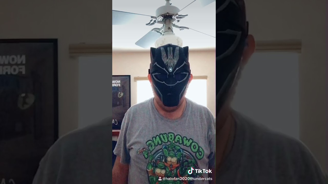 TikTok the muppet show - YouTube