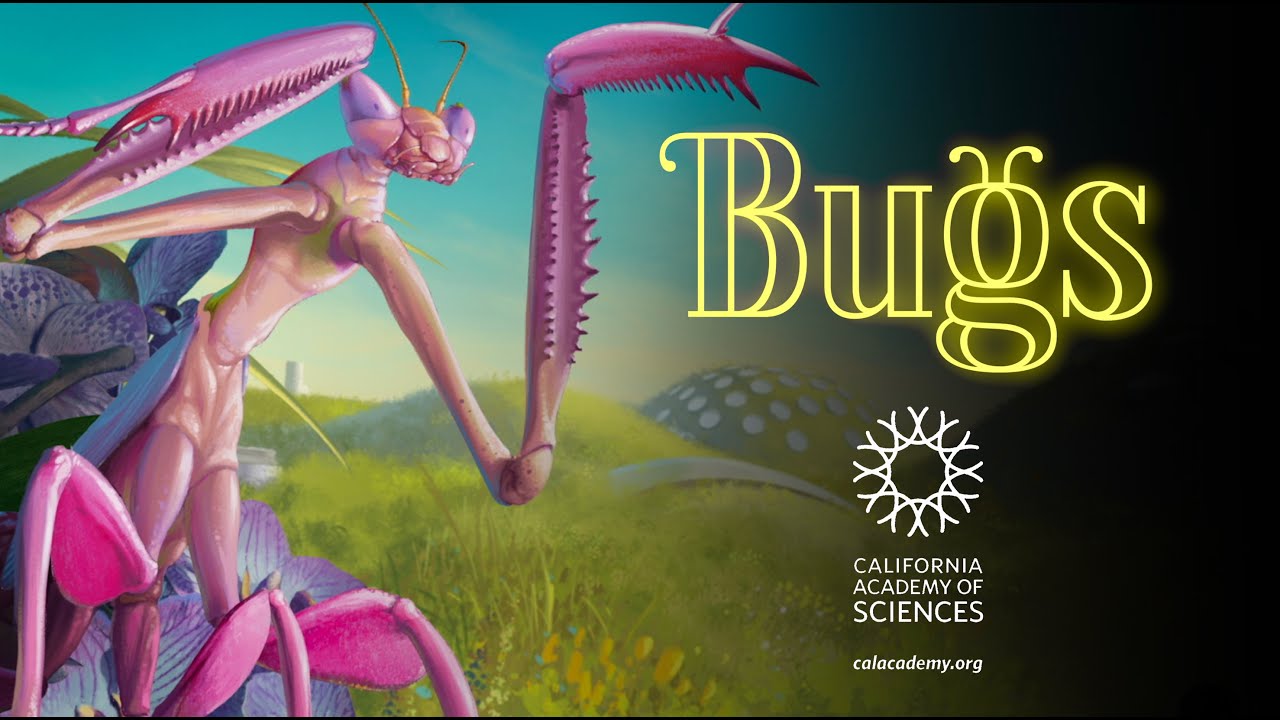 California Academy of Sciences - BUGS Exhibit - YouTube