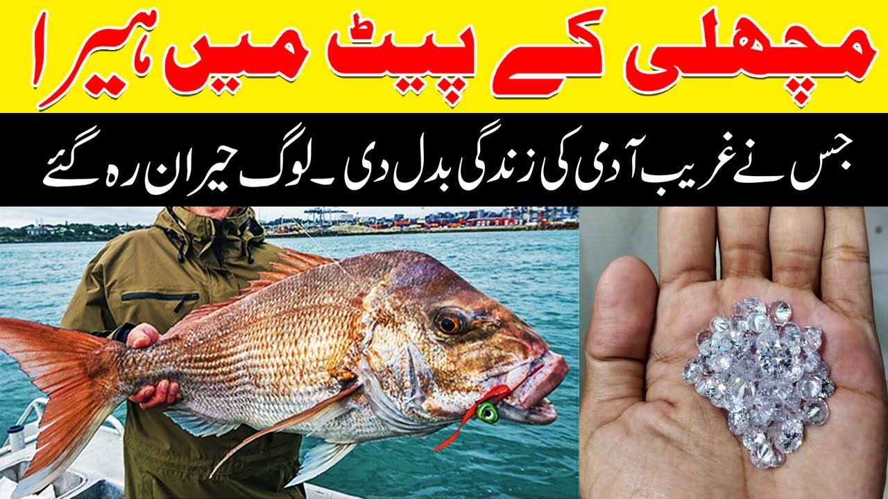 Machli Ke Pait Mein Heera | Diamond Fish Story | Molana Fazal ur Rehman ...
