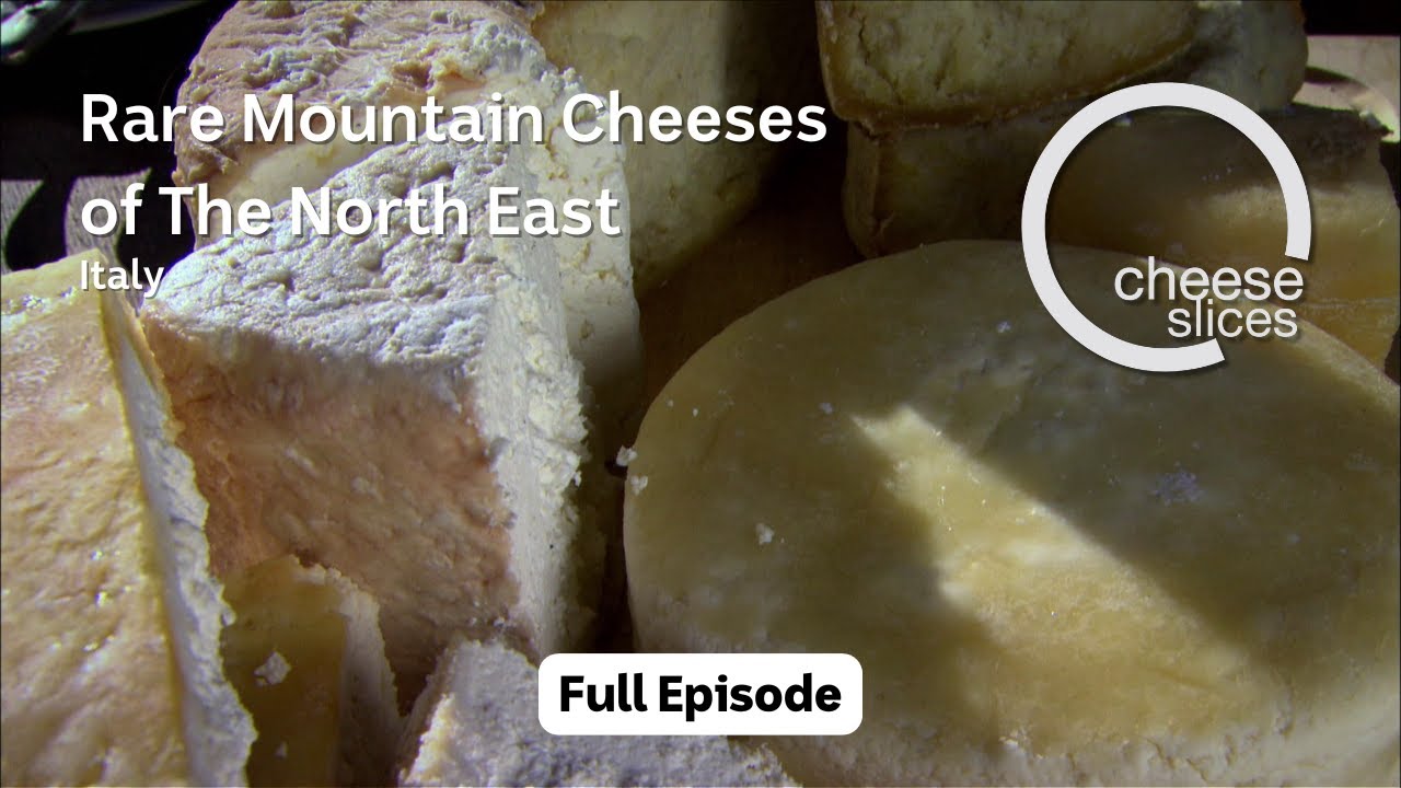 Rare Mountain Cheeses of North East Italy - Cheese Slices with Will ...
