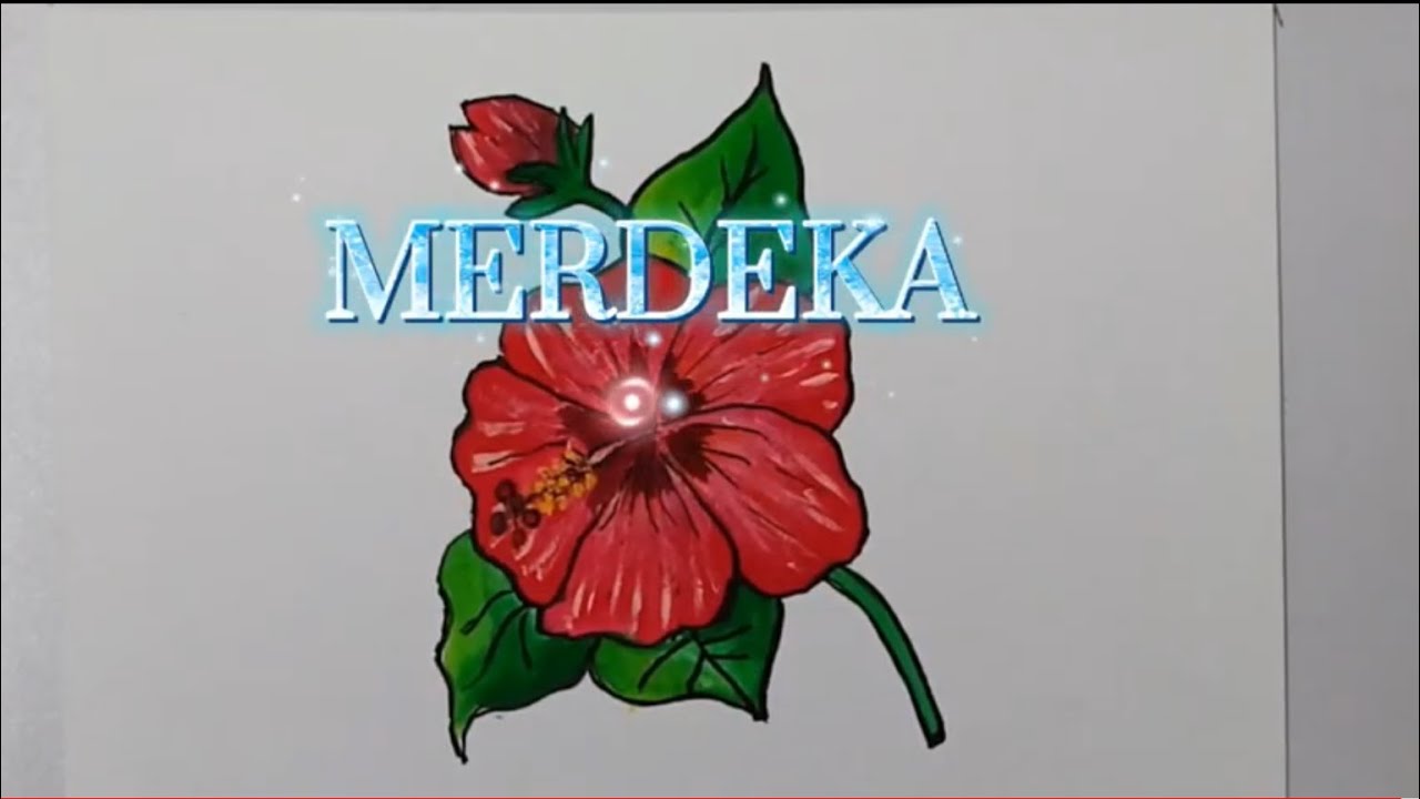 Drawing, Painting, Colouring Hibiscus🌺, Bunga Raya 🌺, Merdeka Let’s ...