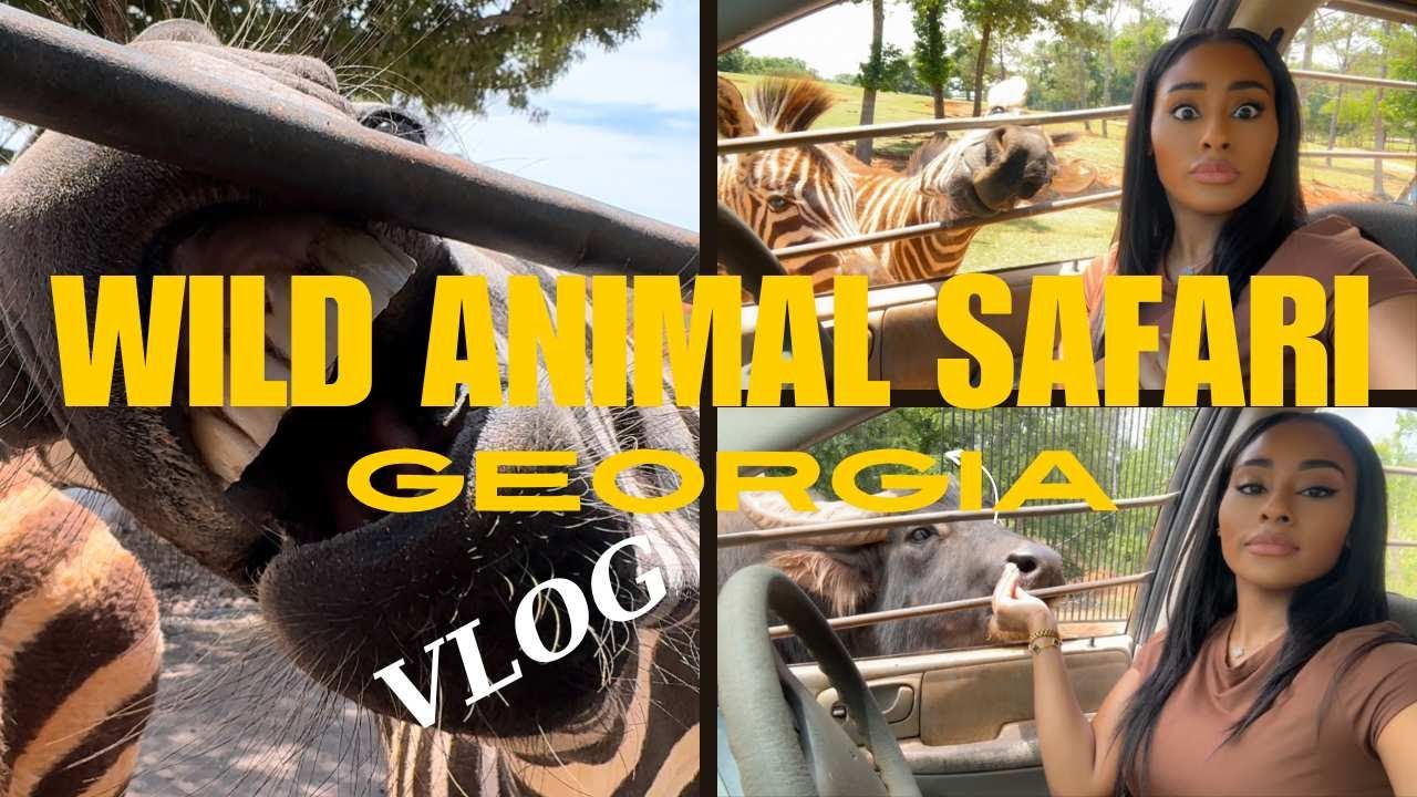 Explore the Wild Animal Safari in Georgia: Just an Hour from Atlanta ...