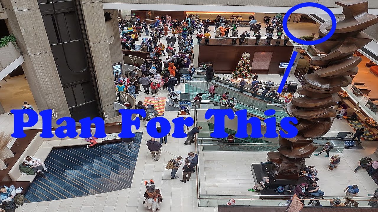 How To Plan For A Furry Convention - YouTube