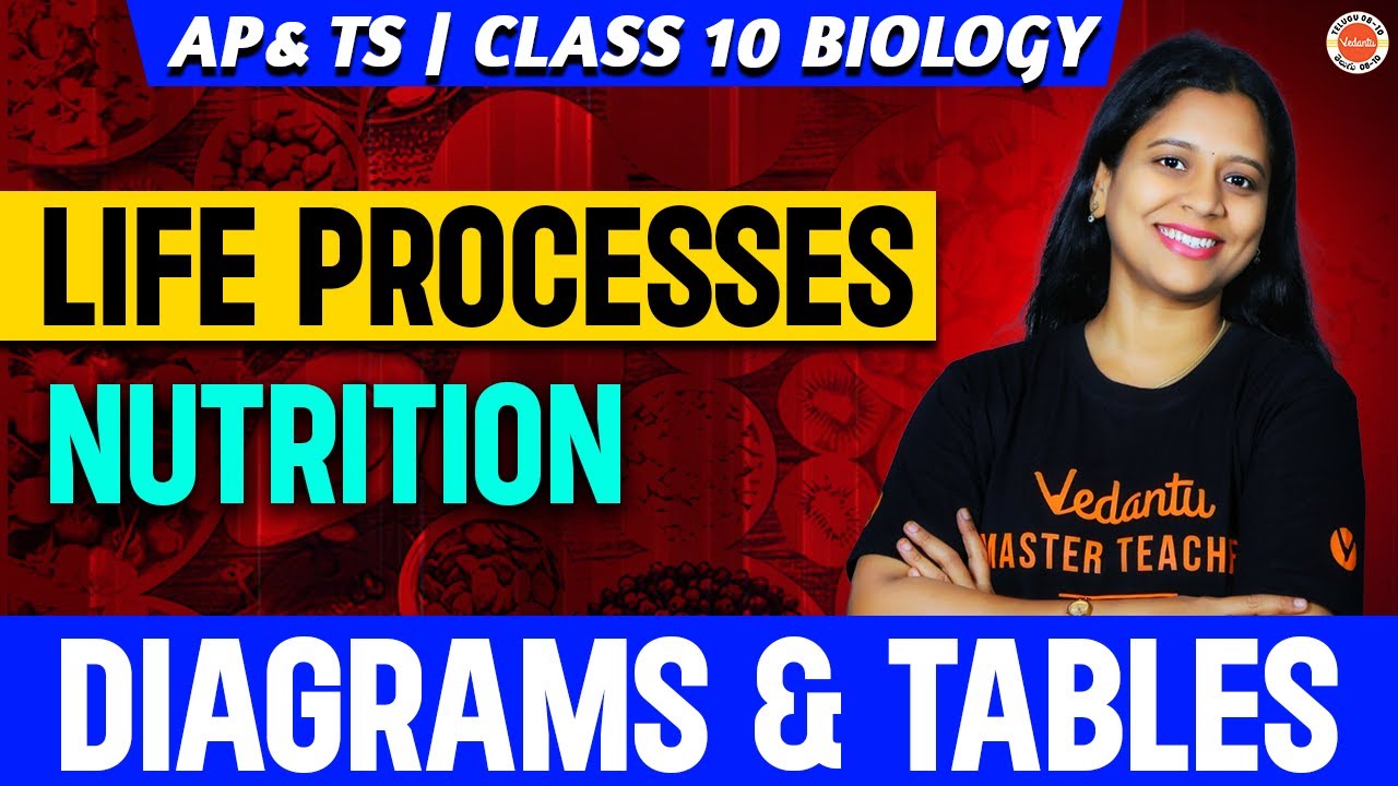 Life Processes | Nutrition | DIAGRAMS & TABLES | AP & TS | Class 10 ...