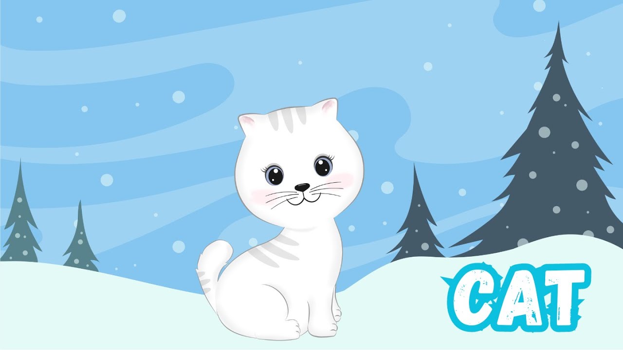 Color White | White Things for Kids | Wonderful Kids - YouTube