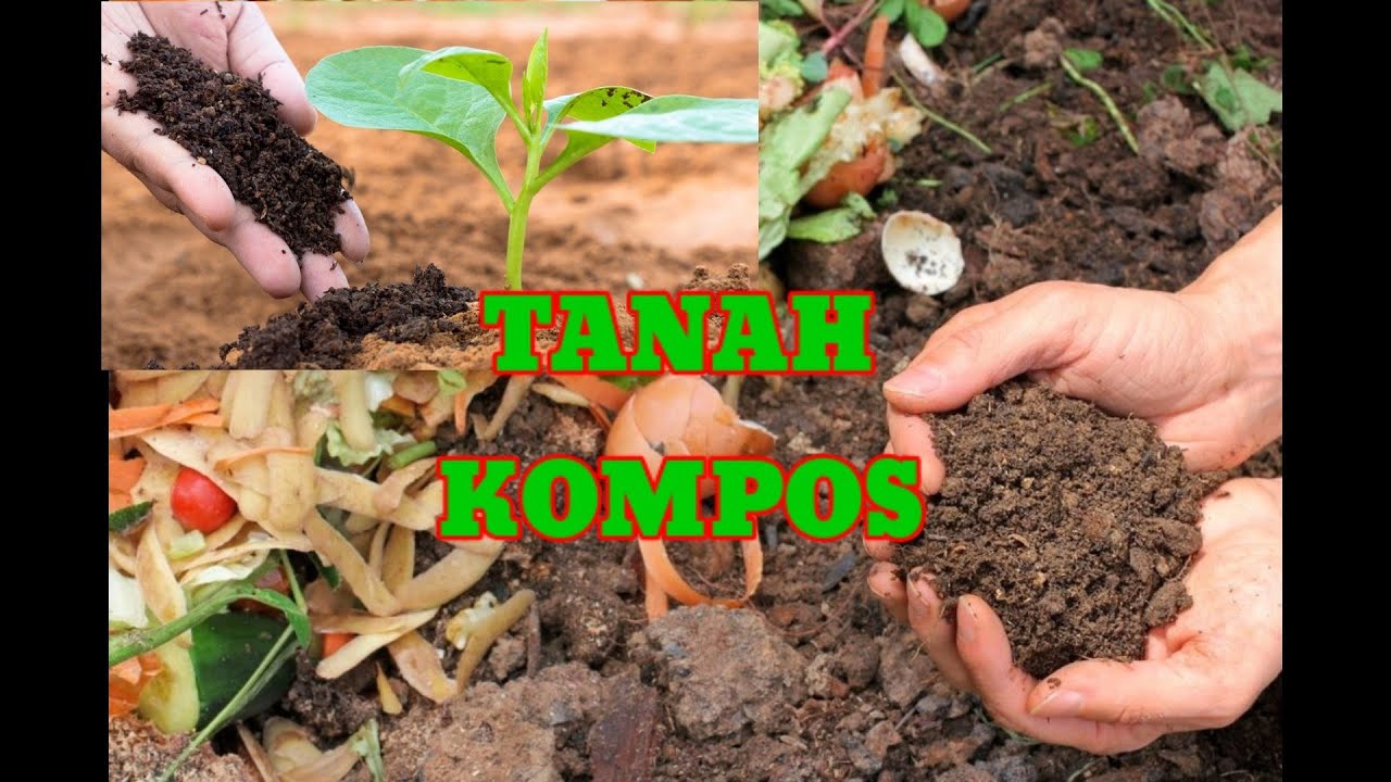 🌴 [TUTORIAL] Cara Mudah Membuat Tanah Kompos - YouTube