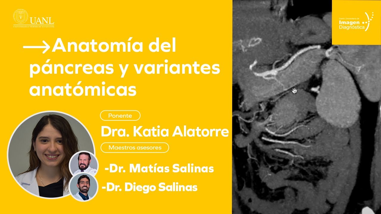 Anatomía del páncreas y variantes anatómicas por la Dra. Katia Alatorre ...
