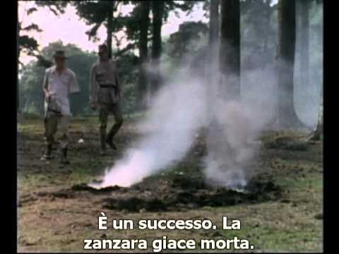 Monty Python Flying Circus (sub ita) - Roy e Hank Spim: i cacciatori di ...