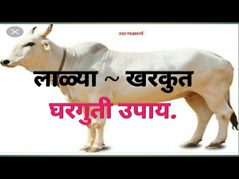 लाळ्या ~ खरकुत वरती घरगुती उपाय.