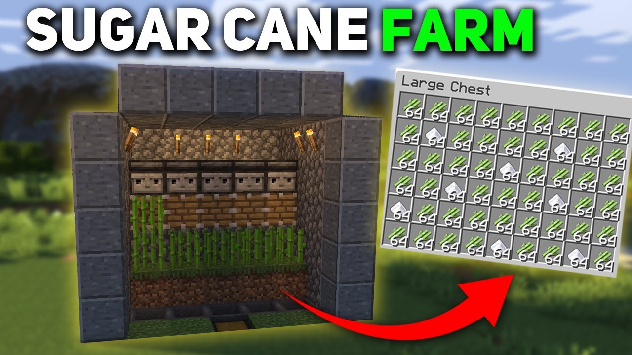Easy Sugar Cane Farm - Automatic Farm 1.17 - YouTube
