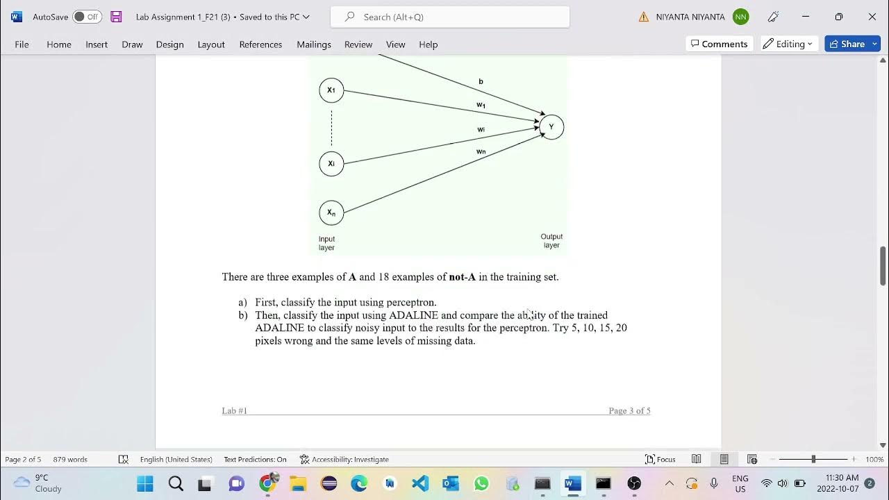 Neural Networks Assignment 01 - YouTube