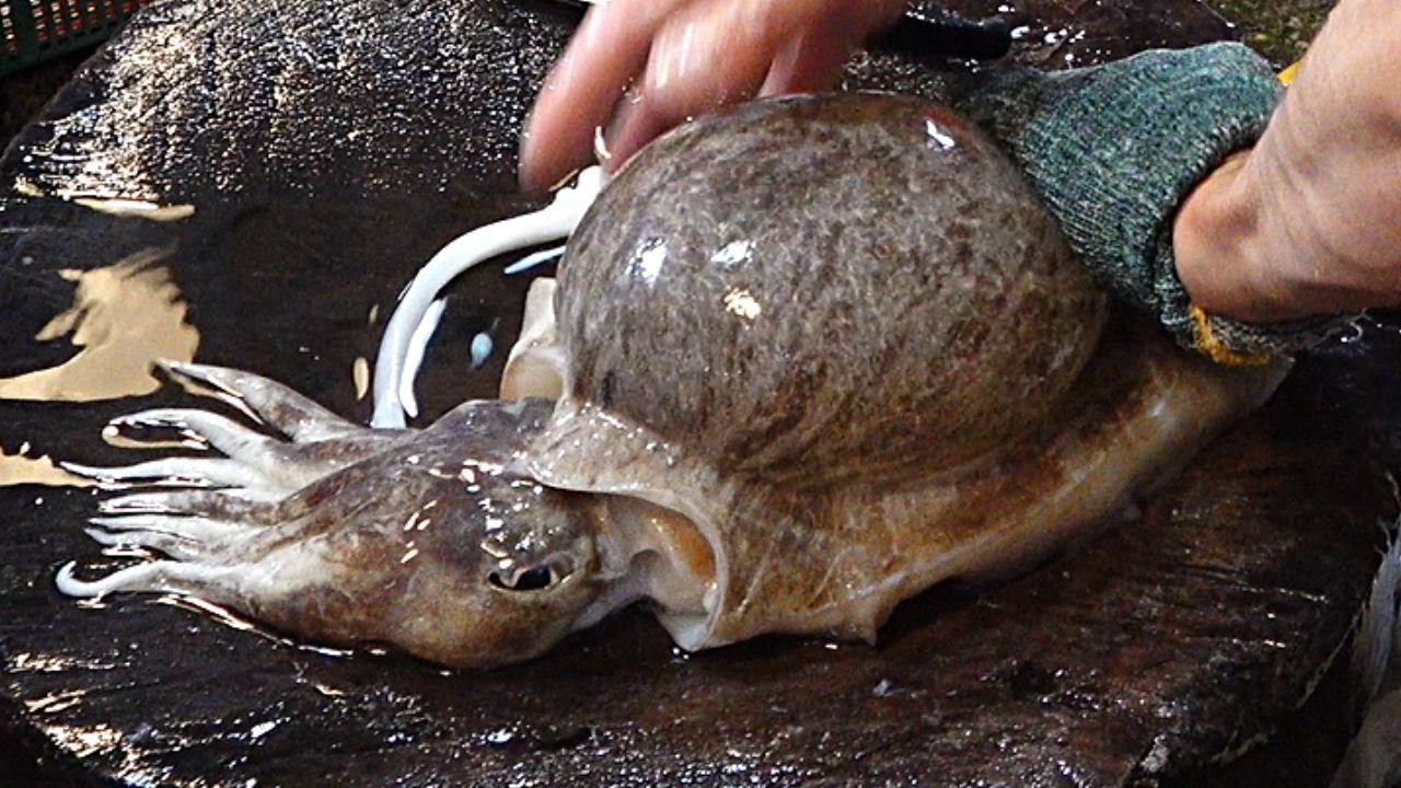 Amazing live Cuttlefish Cutting Sashimi - Taiwanese street food - YouTube