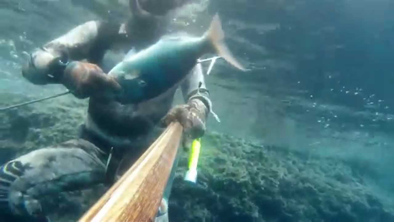 Spearfishing . My Best Shots . Ψαροντουφεκο . Τρελες βολες - YouTube