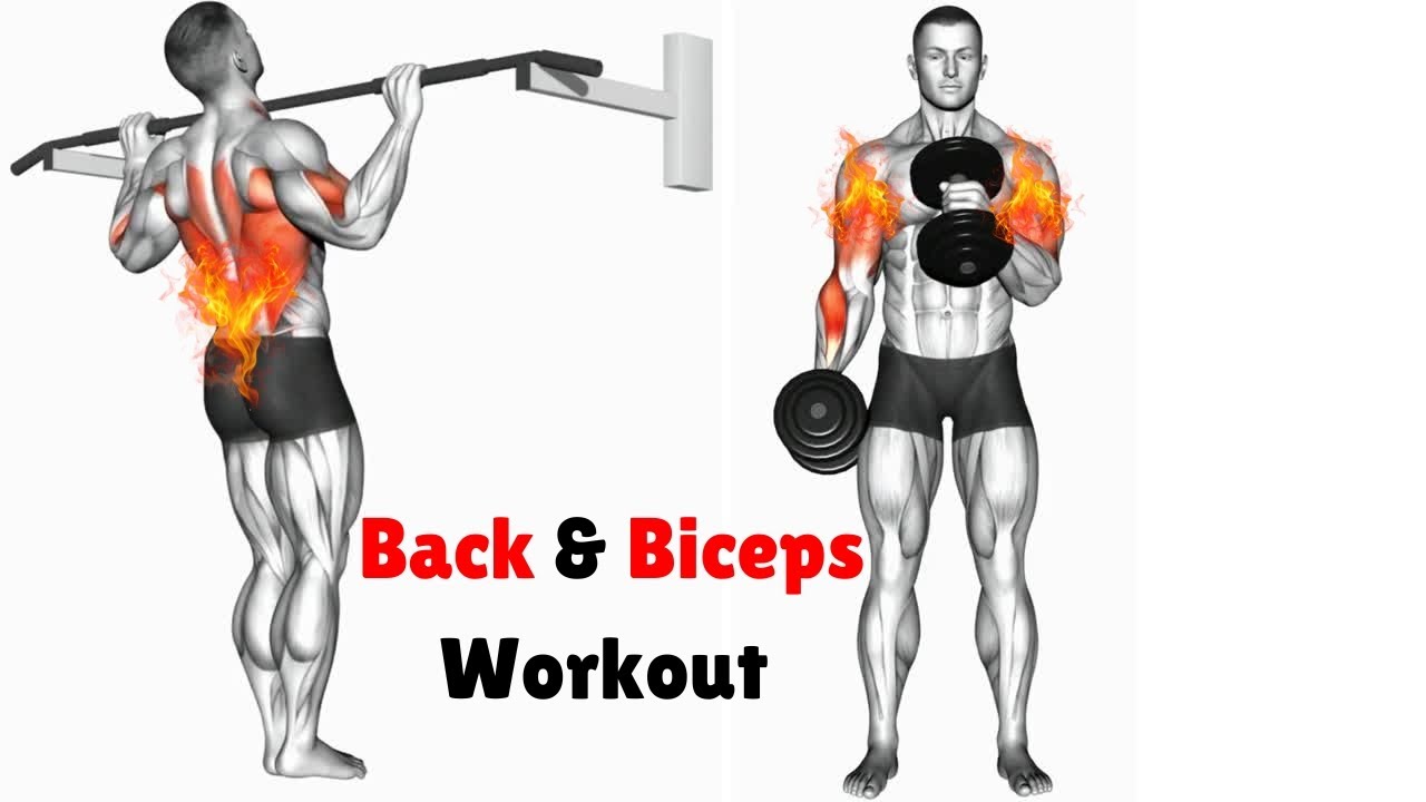 "30-Minute Back & Biceps Workout at Home | No Equipment Needed" - YouTube