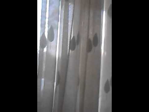 bahçada yeşilçınar hayat kısa be gülüm