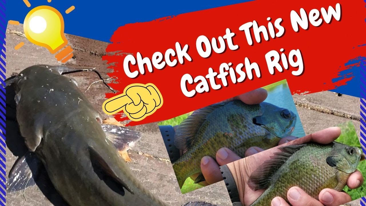 Try this New Santee Cooper Rig to Catch Catfish - YouTube