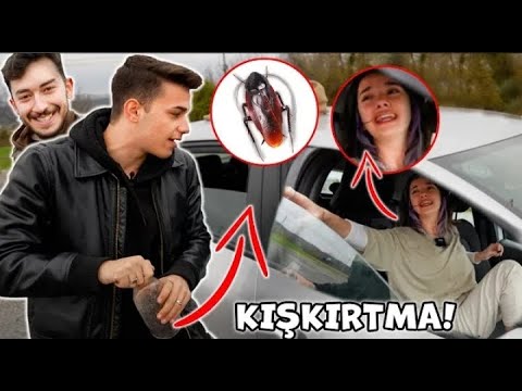 ARABAYI HAMAM BÖCEĞİ İLE DOLDURDUM! KIZ KARDEŞİME ŞAKA w  @Merteren00 @SILADUNDARR23