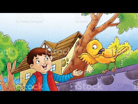 Once i saw a little bird🦜Reading and explanation and Excercises Class ...