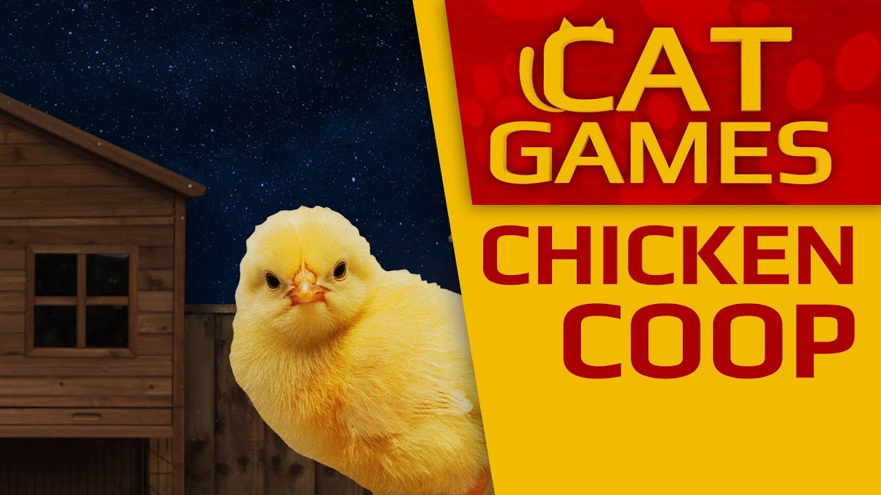 CAT GAMES - 🐤 Chicken Coop (VIDEOS FOR CATS TO WATCH) 4K 60FPS - YouTube
