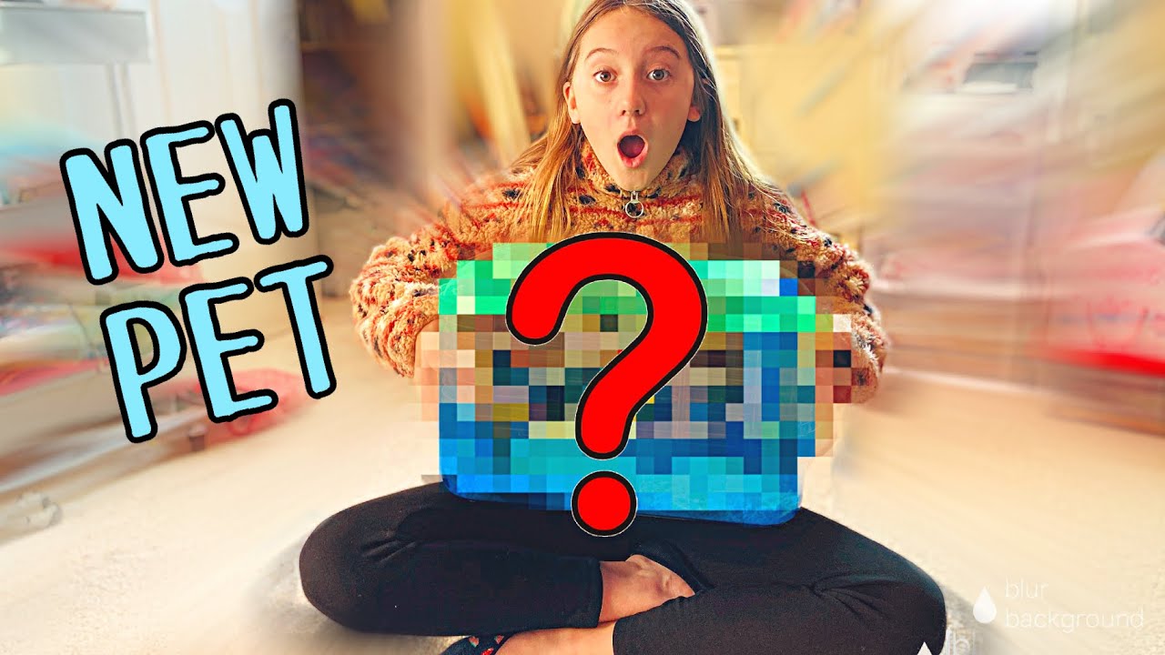 New Family Pet for Braelyn! It's So Cute!!! - YouTube