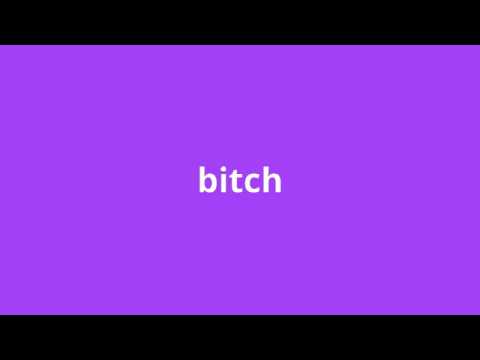 what is the meaning of bitch. - YouTube