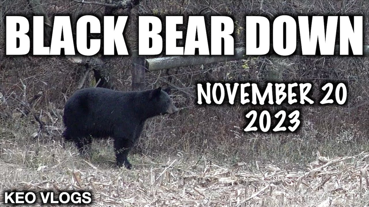 Monte Takes Down His First Ever Black Bear! - YouTube