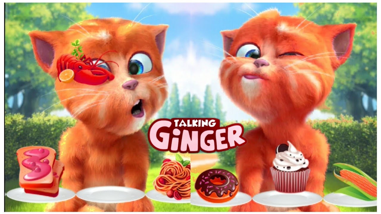 Talking Ginger Color 🔴🔴🔴 - YouTube