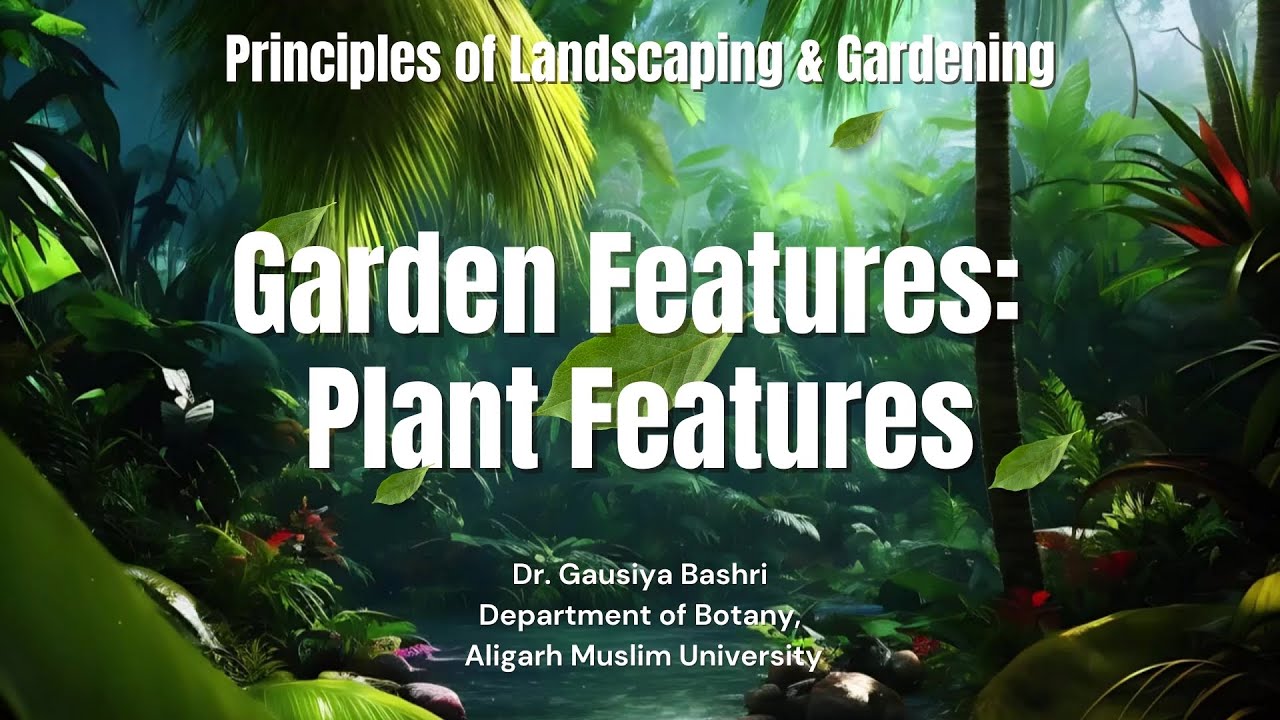 Garden Features: Plant Features - YouTube