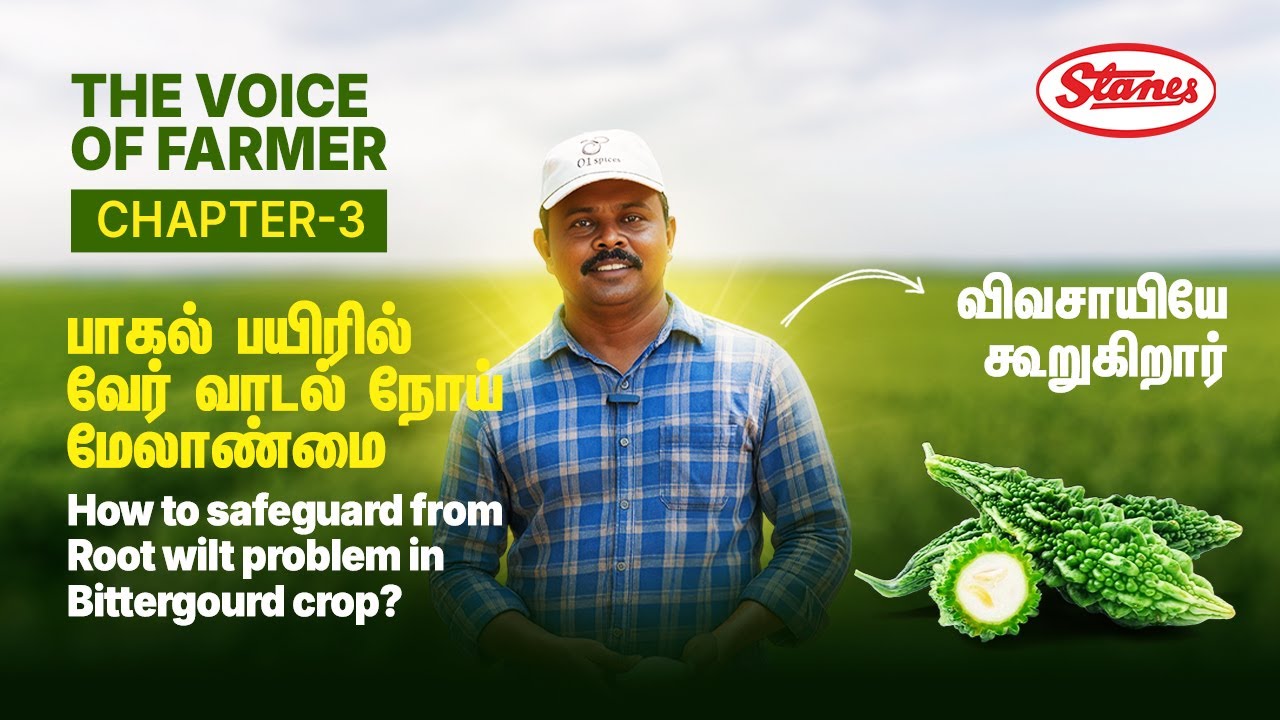 How to prevent Root Wilt Disease in Bittergourd | Stanes - The Voice of ...