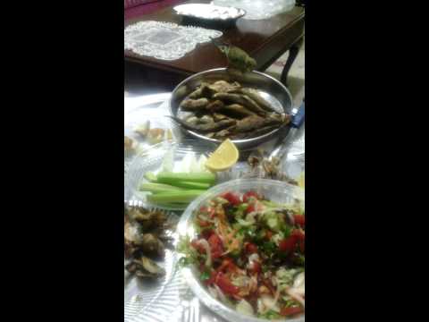 Balık yiyen kuş