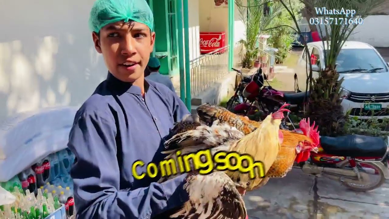 Desi Chicken Painda (Sobat) Traditional Dish of Bannu, DiKhan and Lakki ...