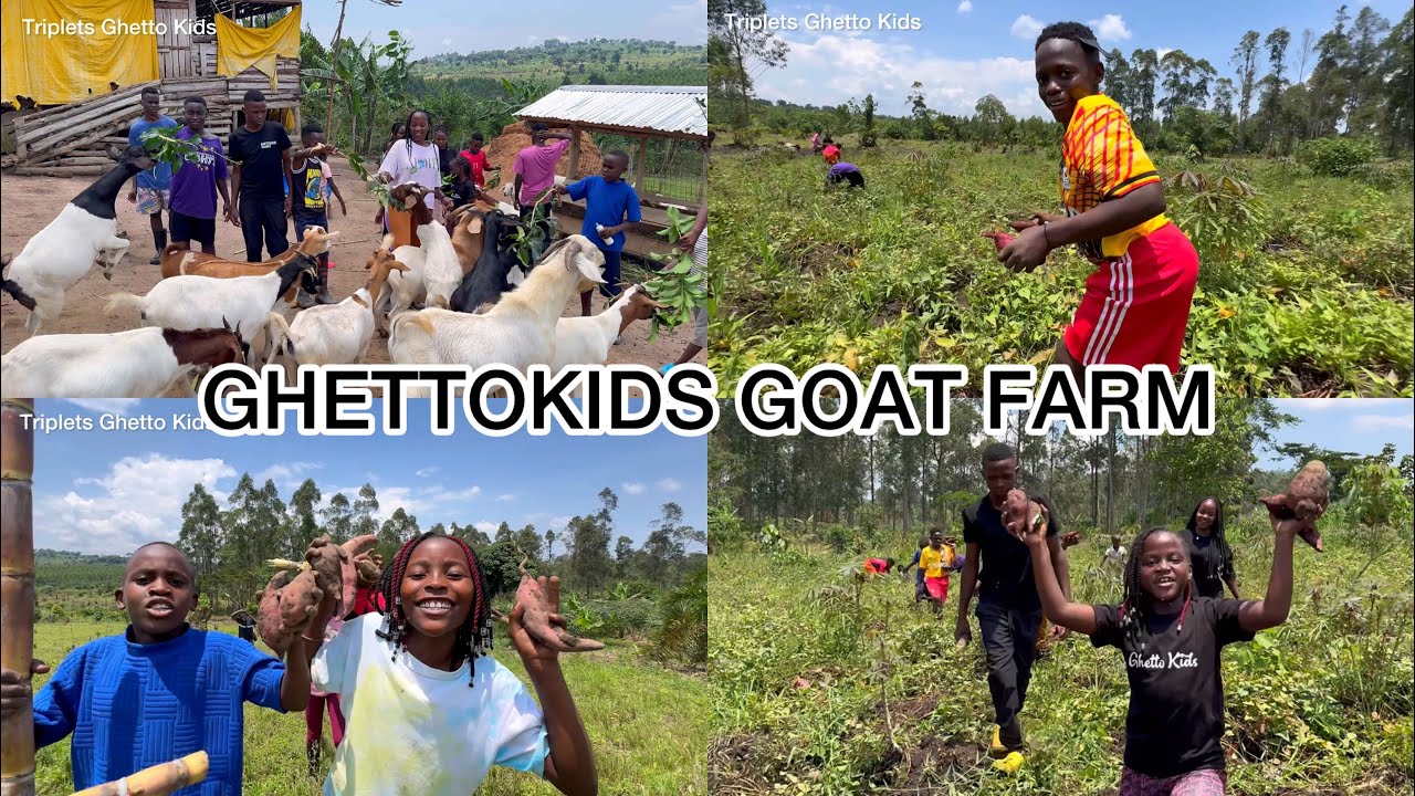 Ghetto Kids - Spend a Day At Their Farm| Learn To Harvest | Goat ...