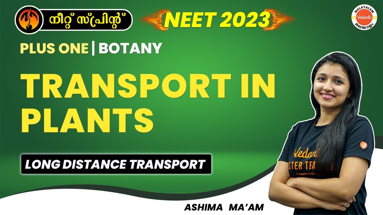 Botany Transport In Plants Malayalam | Long Distance Transport ...