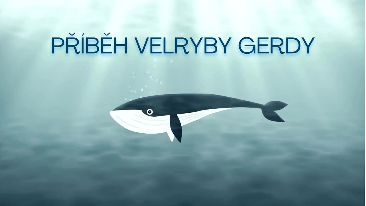 Příběh velryby Gerdy - YouTube