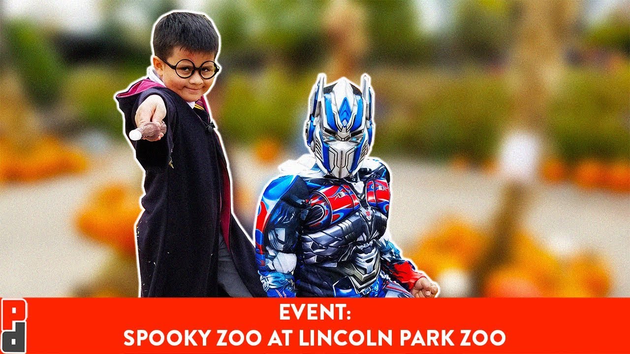 Event | Spooky Zoo 2017 @ Lincoln Park Zoo | Chicago, IL - YouTube