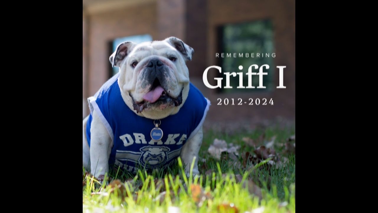 Remembering Griff, Drake University's first live mascot - YouTube
