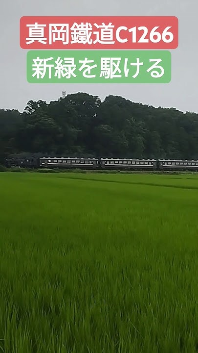 2024年7月14日真岡鐵道C1266 真岡寺内間 - YouTube