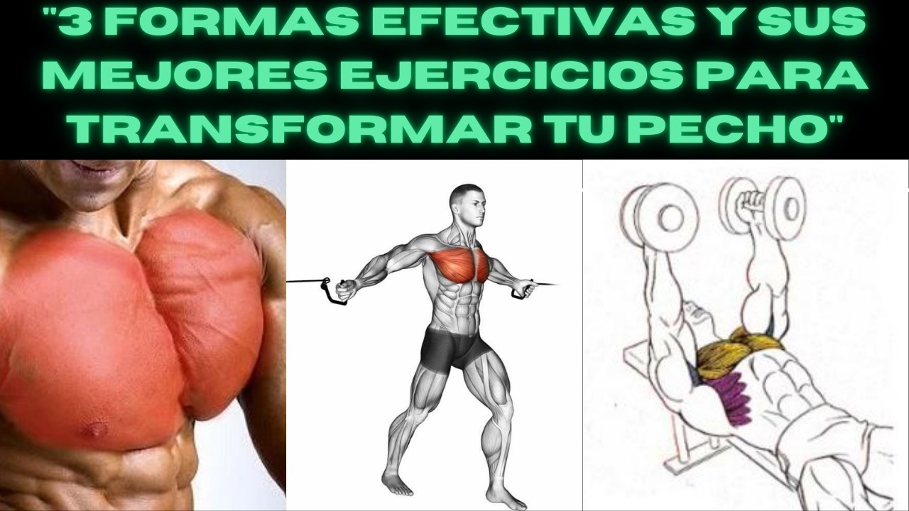 Las 3 Mejores Formas de Entrenar Tu Pecho. - YouTube