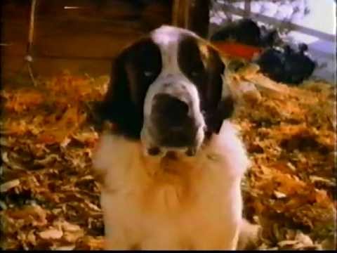 ABC January 13, 1989 Commercials - YouTube