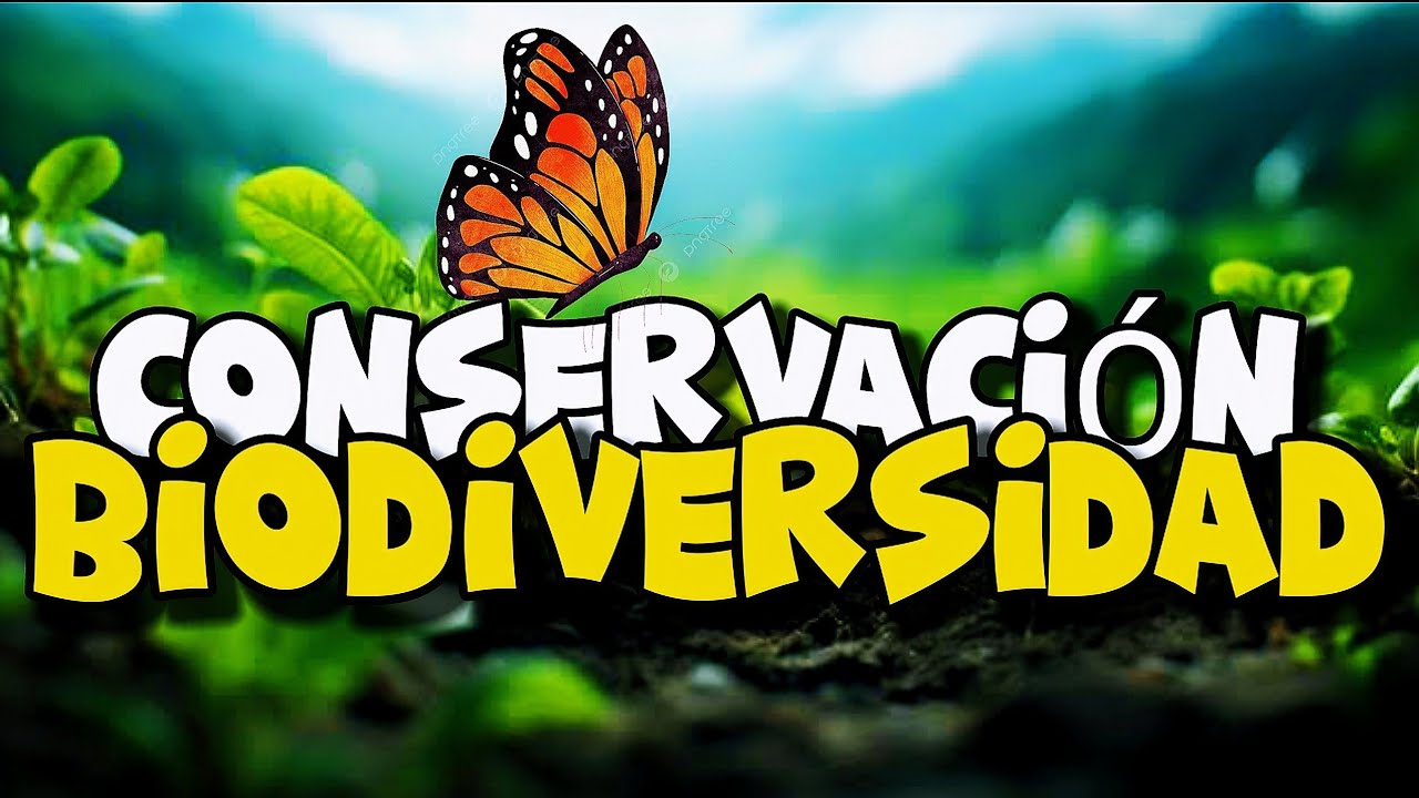 Conservación de la biodiversidad : Las áreas naturales protegidas - YouTube
