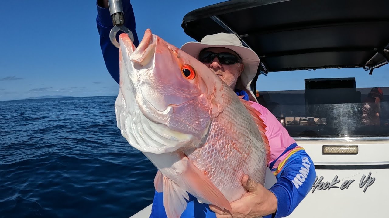 Huge Large Mouth Nannygai, inshore fishing Townsville. Hot bite. - YouTube
