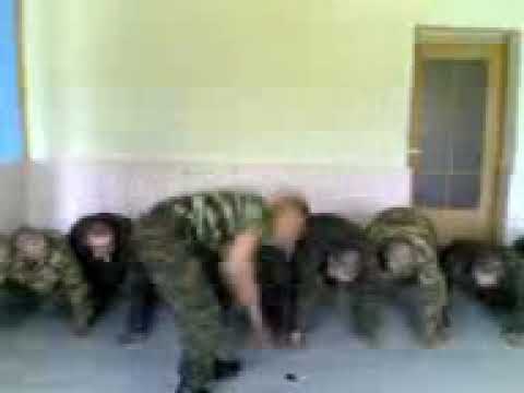 Turkmen pirkol her oglana degishli