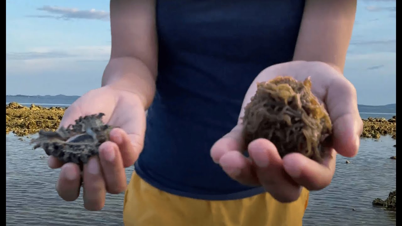 HUNASAN ADVENTURE IN HINGOTANAN ISLAND, BIEN UNIDO BOHOL - YouTube