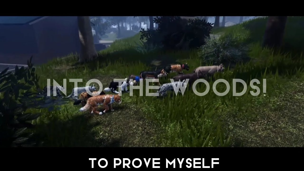 WCUE: Kittypets venturing out into the forest! - YouTube