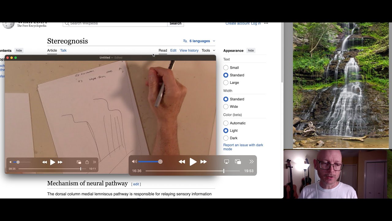 The Difference: Aphantasia/Hyperphantasia/Sterognosis. 3 Different ...