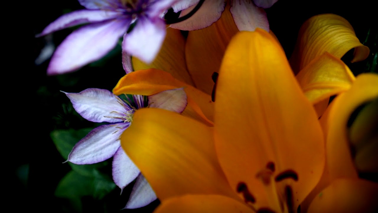 Vid clip for banner - YouTube