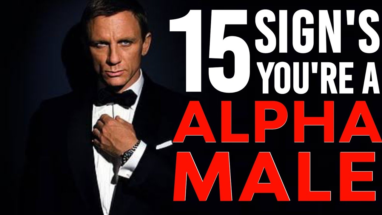 15 Signs You're An Alpha Male | Alpha Male Strategies - YouTube