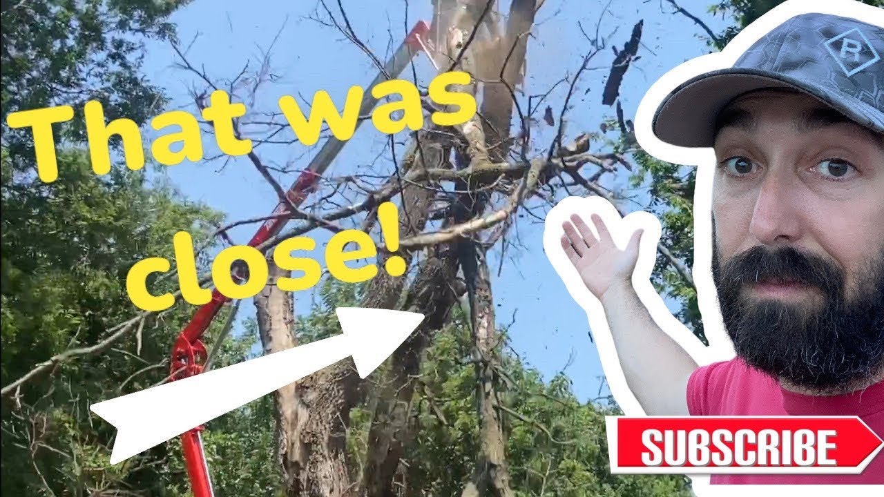 Trimming trees with a 60 FOOT LIFT when this HAPPENED! - YouTube