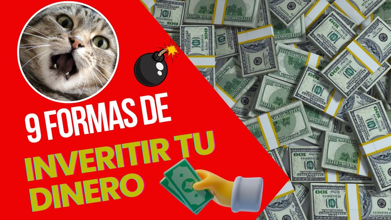 9 FORMAS DE INVERTIR TU DINERO De Manera Rentable, Desde Casa y con ...